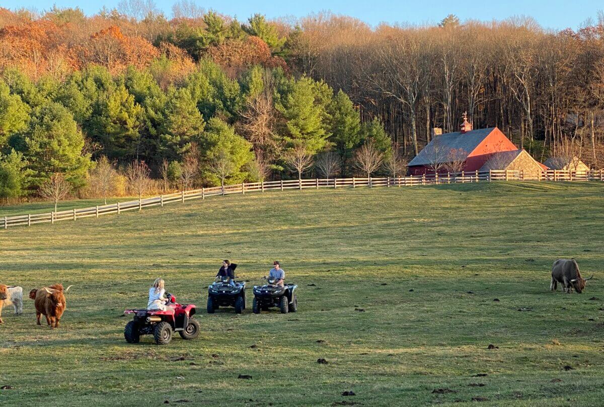 Guided Farm Tours - June Farms