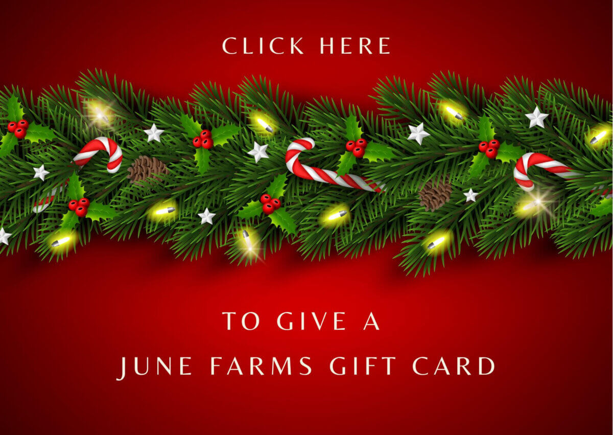 Events from November 26 – December 10 – June Farms