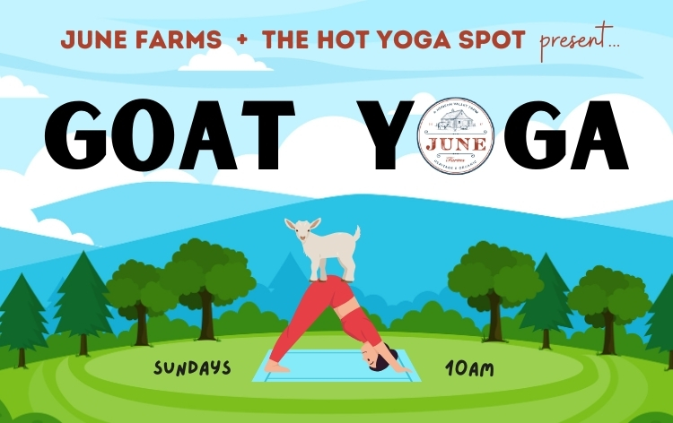 Goat Yoga - June Farms